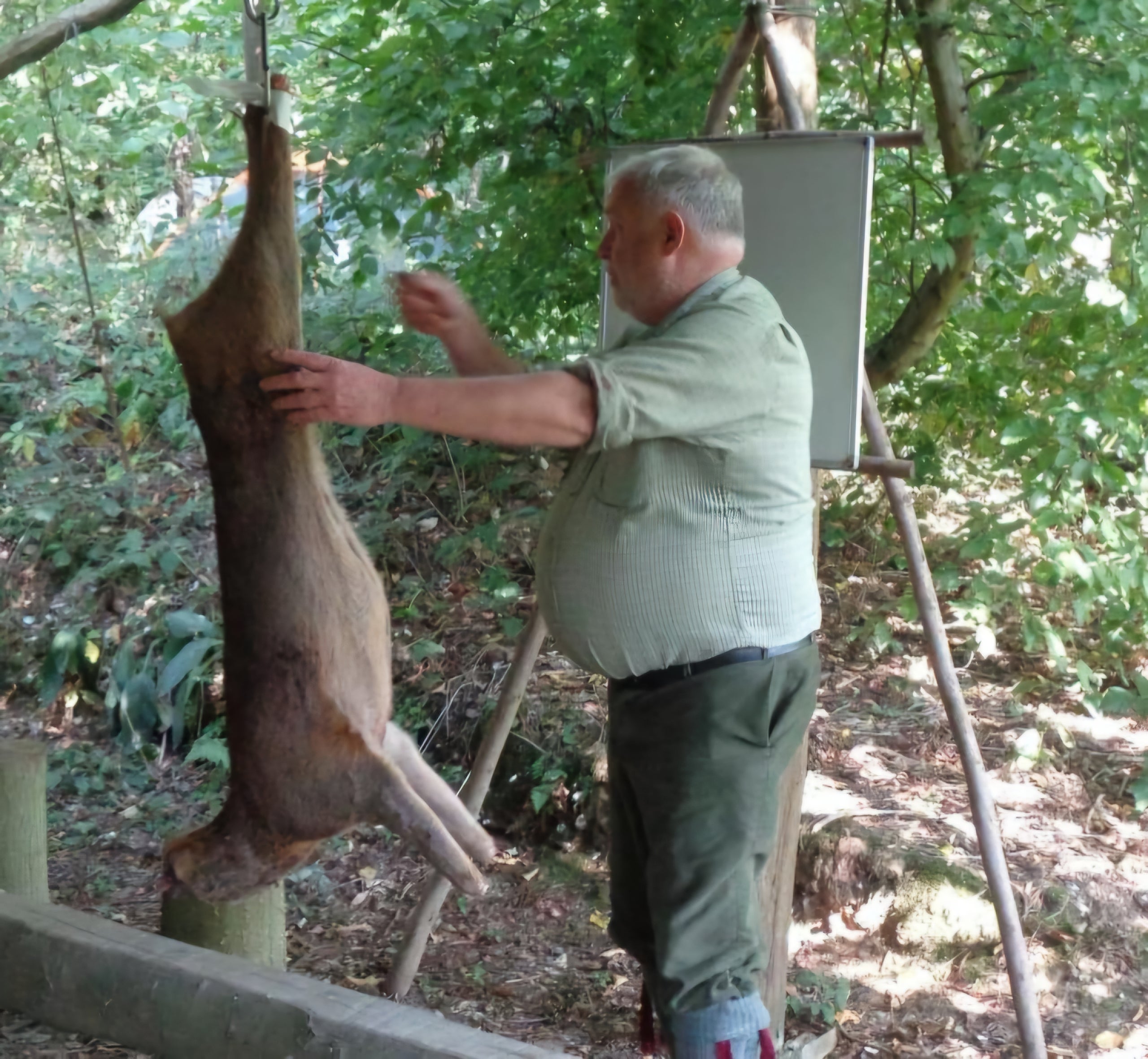 Deer Preparation and Butchery Course | Willow Bushcraft